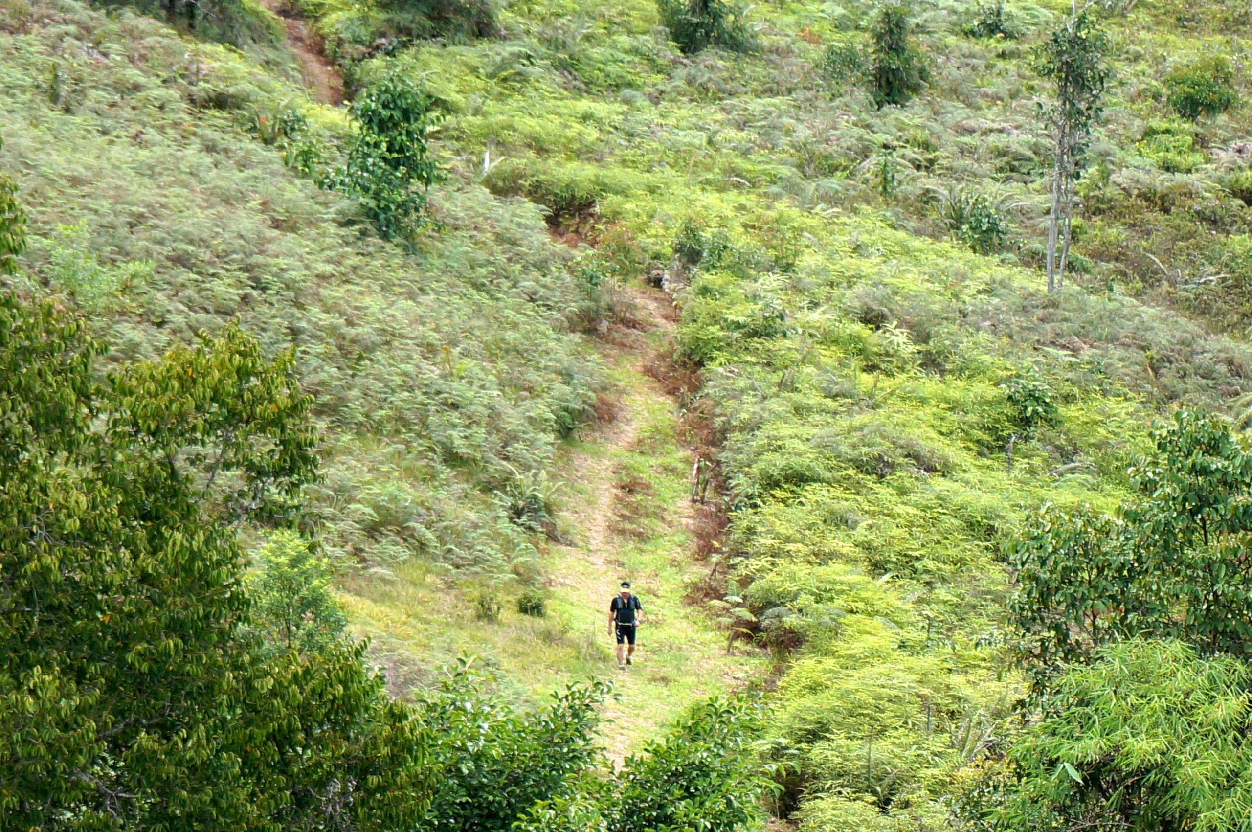 The Race – RunnersWild